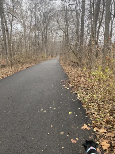 Best Hikes and Trails in Turkey Foot Nature Park | AllTrails
