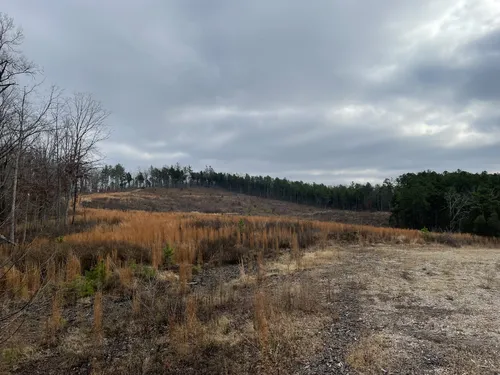 Best Backpacking Trails in Hoosier National Forest | AllTrails