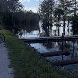 Grassy Waters Preserve: Owahee Trail, Florida - 146 Reviews, Map ...