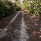 Grassy Waters Preserve: Owahee Trail, Florida - 146 Reviews, Map ...