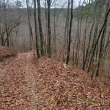 Blue Hole Road, Arkansas - 57 Reviews, Map | AllTrails
