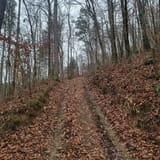 Blue Hole Road, Arkansas - 57 Reviews, Map | AllTrails
