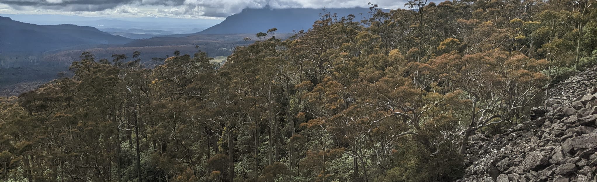 Quamby Bluff Trail: 215 Reviews, Map - Tasmania, Australia | AllTrails