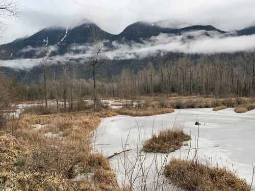 Best Hikes and Trails in Cheam Wetlands Regional Park | AllTrails