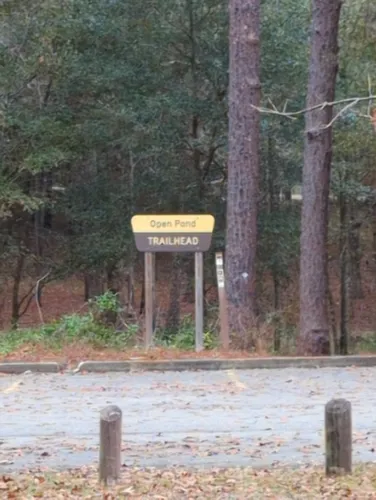 Best Hikes and Trails in Open Pond Recreation Area | AllTrails