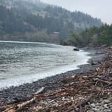 Bayocean Peninsula, Oregon - 626 Reviews, Map | AllTrails