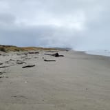 Bayocean Peninsula, Oregon - 626 Reviews, Map | AllTrails