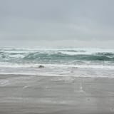 Bayocean Peninsula, Oregon - 626 Reviews, Map | AllTrails
