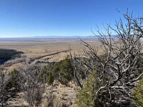 Best Camping Trails in Rio Grande National Forest | AllTrails