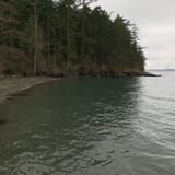 Washington Park Loop Road, Washington - 1,565 Reviews, Map | AllTrails