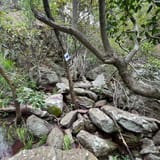 Muningi Gorge, Gauteng, South Africa - 106 Reviews, Map | AllTrails