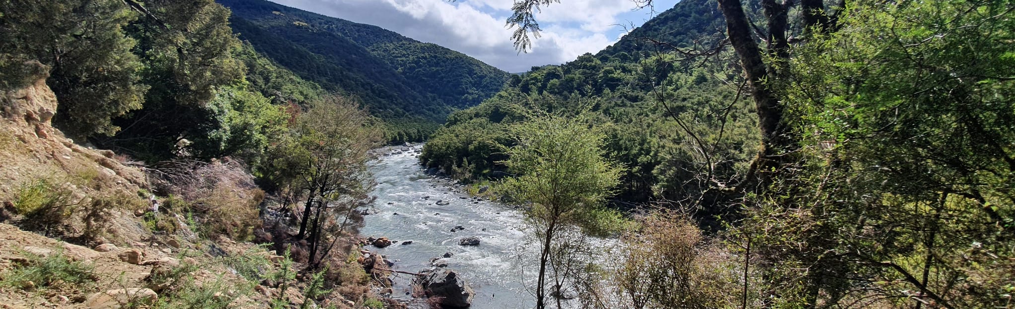 Pinchgut Track: 25 Reviews, Map - Canterbury, New Zealand | AllTrails