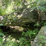 Labyrinth Rocks Park Walk, Nelson-Tasman, New Zealand - 36 Reviews, Map ...