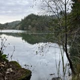Lake Lagunitas, California - 622 Reviews, Map | AllTrails