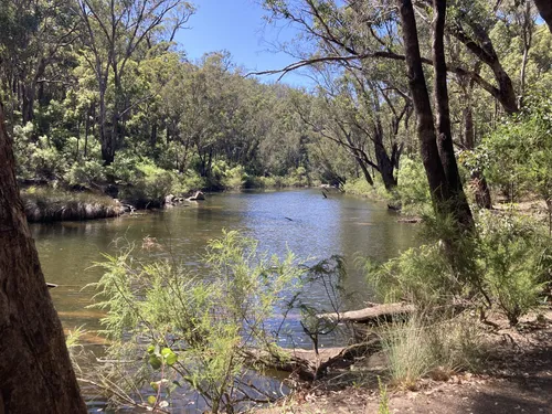 10 Best Hikes and Trails in Lane Poole Reserve | AllTrails