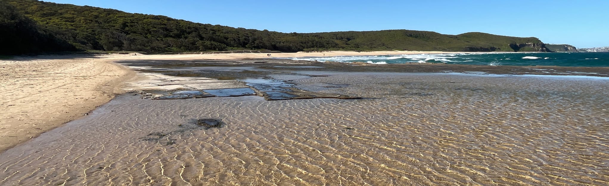 Dudley Beach Walk, New South Wales, Australia - 17 Reviews, Map | AllTrails