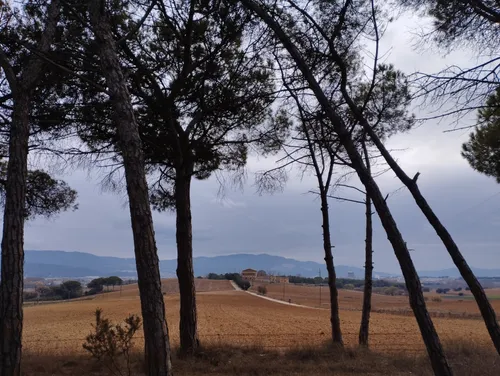 Best Forest Trails in Espai Rural de Gallecs | AllTrails