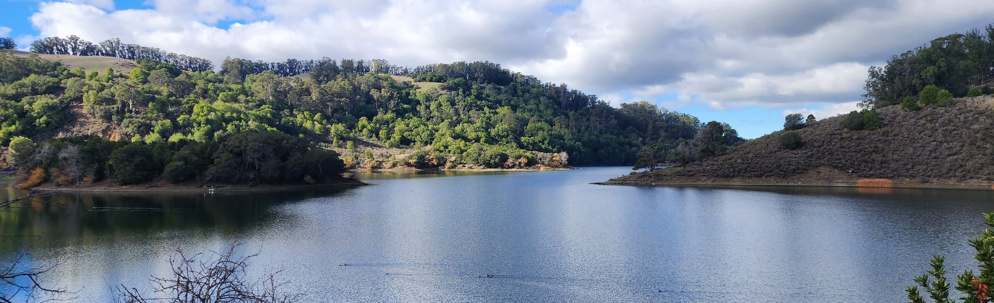 Lake Chabot via East Shore Trail, California - 1,721 Reviews, Map ...