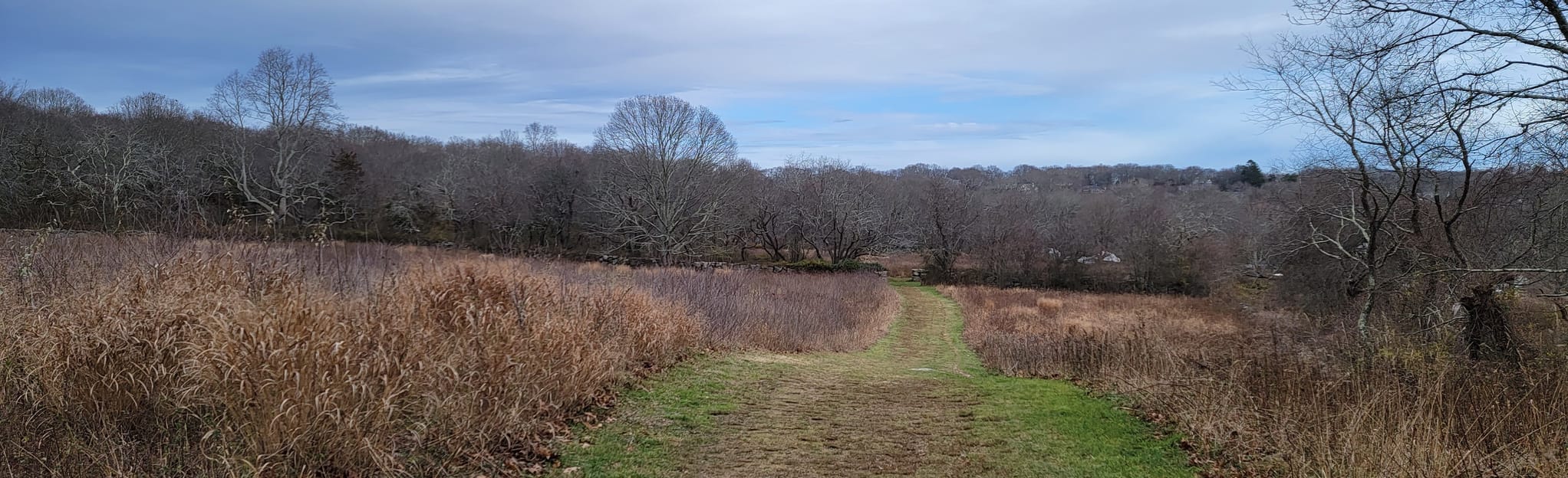 Haley Farm and Bluff Point Loop, Connecticut - 186 Reviews, Map | AllTrails