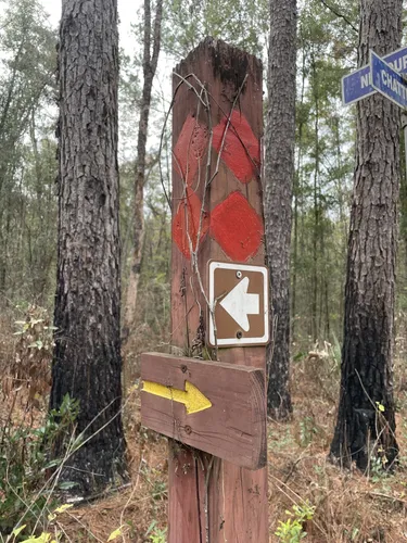 Best Hikes and Trails in Wakulla State Forest | AllTrails