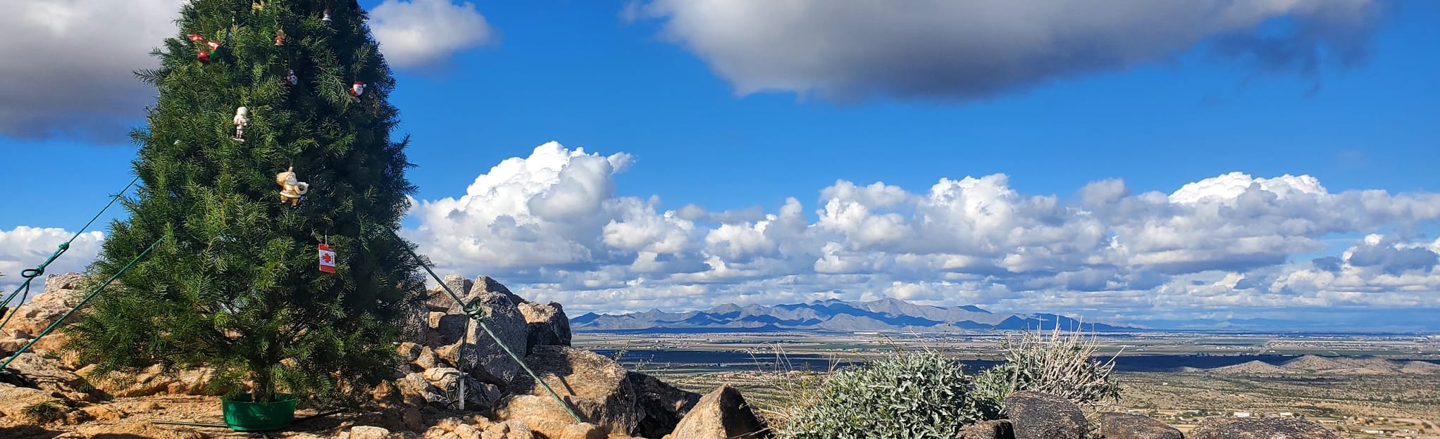 Estrella Mountain, Arizona - 411 Reviews, Map | AllTrails