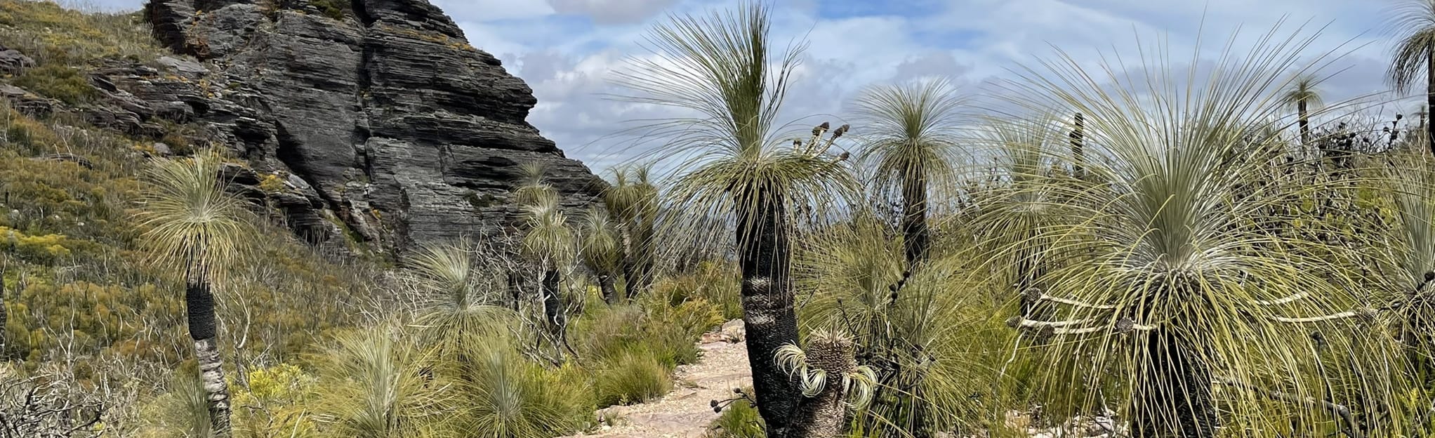 Mount Trio Walk, Western Australia, Australia - 193 Reviews, Map ...
