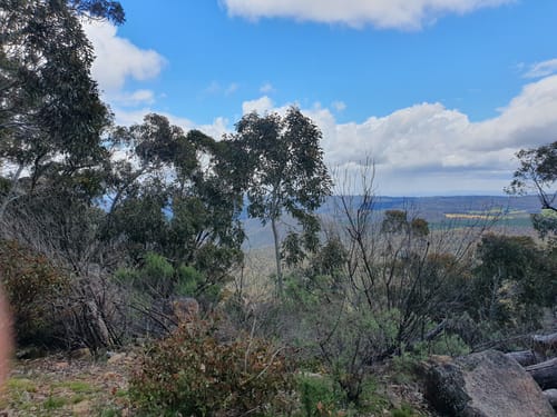 Best Hikes and Trails in Mount Stanley Scenic Reserve | AllTrails