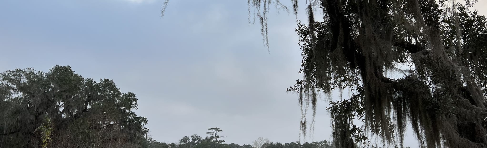 Pedrick Pond Loop: 45 Reviews, Map - Florida | AllTrails