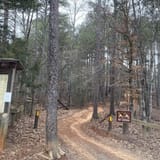 Uwharrie OHV Trail, North Carolina - 212 Reviews, Map | AllTrails