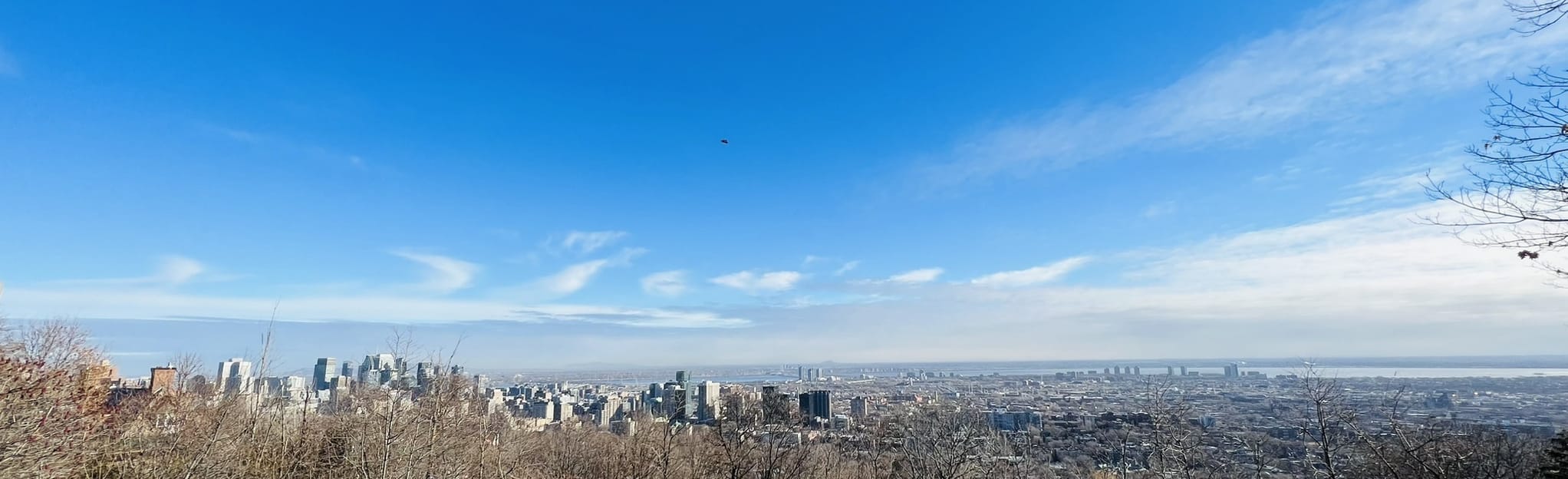 Westmount Loop: 153 Reviews, Map - Quebec, Canada | AllTrails