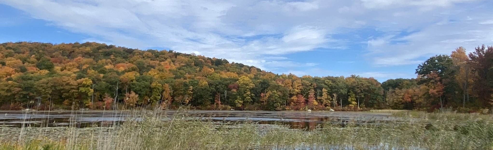 Ryker Lake Trail, New Jersey - 121 Reviews, Map | AllTrails