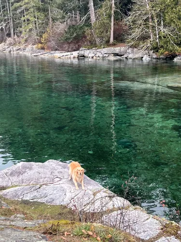 Best Hikes and Trails in Saltery Bay Provincial Park | AllTrails