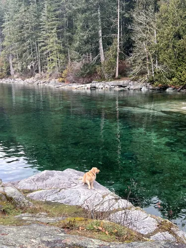 Best Hikes and Trails in Saltery Bay Provincial Park | AllTrails