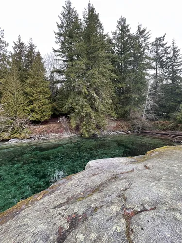 Best Hikes and Trails in Saltery Bay Provincial Park | AllTrails