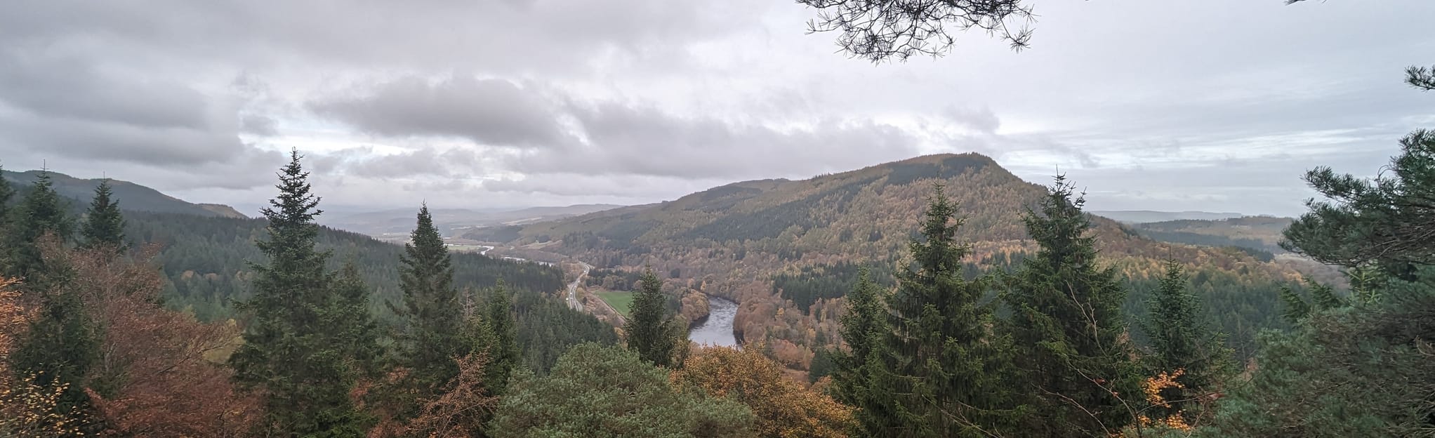 Pine Cone Point Trail: 34 Reviews, Map - Perth and Kinross, Scotland ...