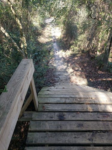 Best Hikes and Trails in T. C. Jester Park | AllTrails