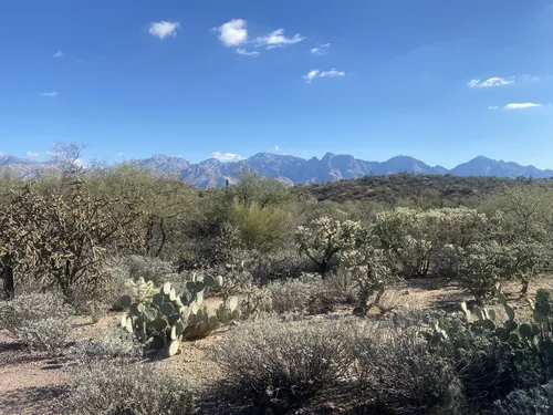 Best Hikes and Trails in Honey Bee Canyon Park | AllTrails