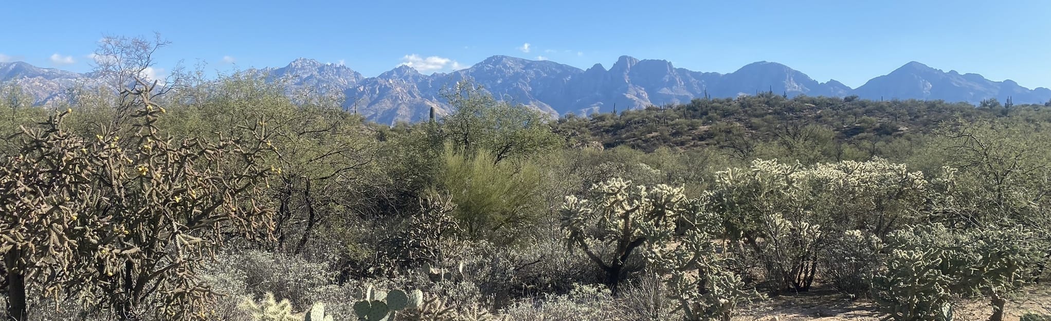 HoneyBee Canyon South Trail, 517 Photos - Arizona | AllTrails