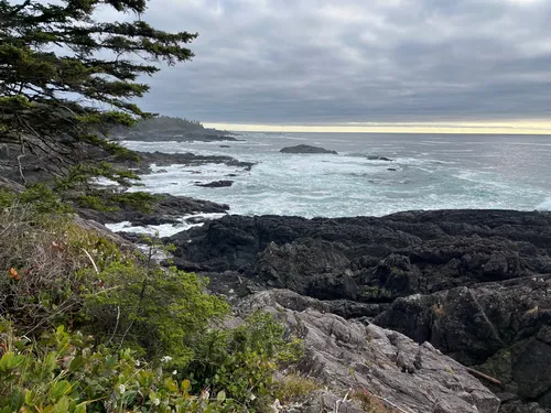 10 Best Trails and Hikes in Ucluelet | AllTrails