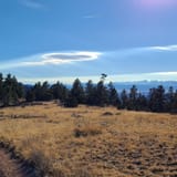 Tanner Trail, Colorado - 115 Reviews, Map | AllTrails