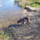 Tom Macmichael Senior Trail, California - 204 Reviews, Map | AllTrails