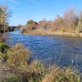 Tom Macmichael Senior Trail, California - 204 Reviews, Map | AllTrails