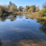 Tom Macmichael Senior Trail, California - 204 Reviews, Map | AllTrails