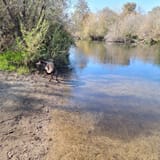 Tom Macmichael Senior Trail, California - 204 Reviews, Map | AllTrails