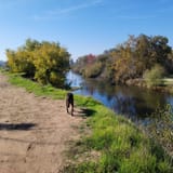 Tom Macmichael Senior Trail, California - 204 Reviews, Map | AllTrails