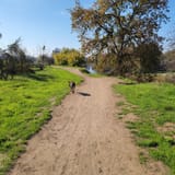 Tom Macmichael Senior Trail, California - 204 Reviews, Map | AllTrails