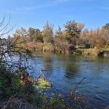 Tom Macmichael Senior Trail, California - 204 Reviews, Map | AllTrails