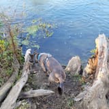 Tom Macmichael Senior Trail, California - 204 Reviews, Map | AllTrails