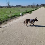 Tom Macmichael Senior Trail, California - 204 Reviews, Map | AllTrails