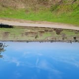 Tom Macmichael Senior Trail, California - 204 Reviews, Map | AllTrails